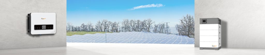 Submit Successful - Bluesun Solar