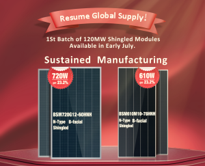 China Leading Supplier of Solar PV Solutions - Bluesun Solar